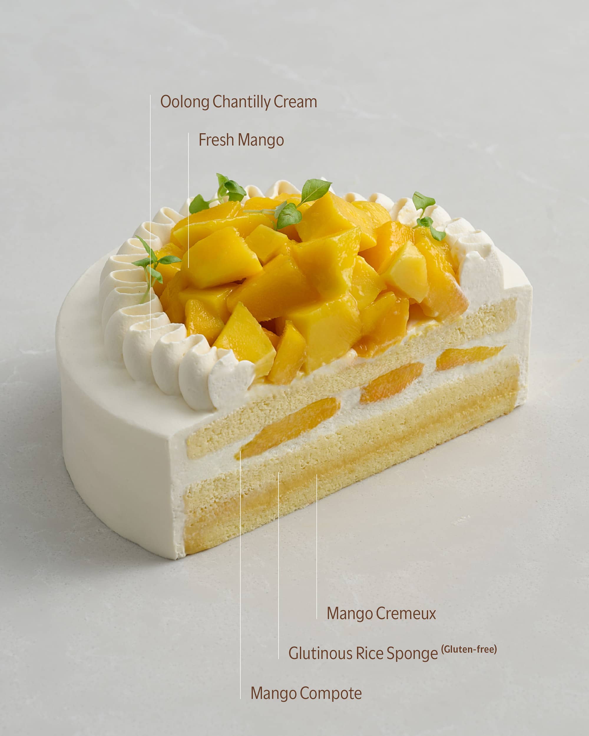 Collections – Lacher Patisserie